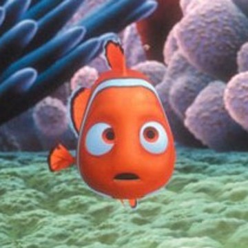 Finding Nemo Slomo 16