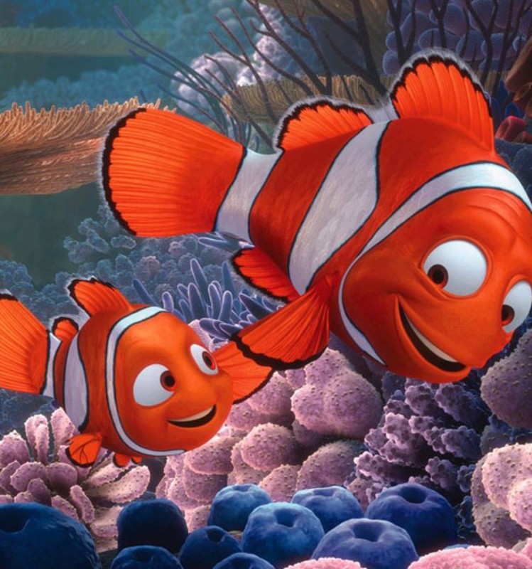 Marlin | Zobacz Postać | - Pixar - Filmweb