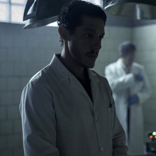 Pingwin (2024) pełna obsada - Filmweb