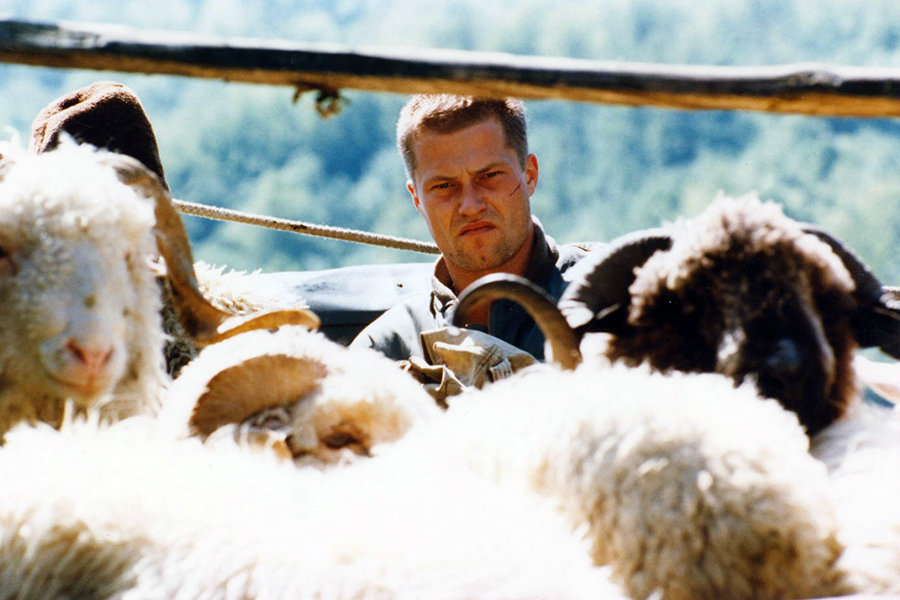 Bandyta (1997) - Filmweb