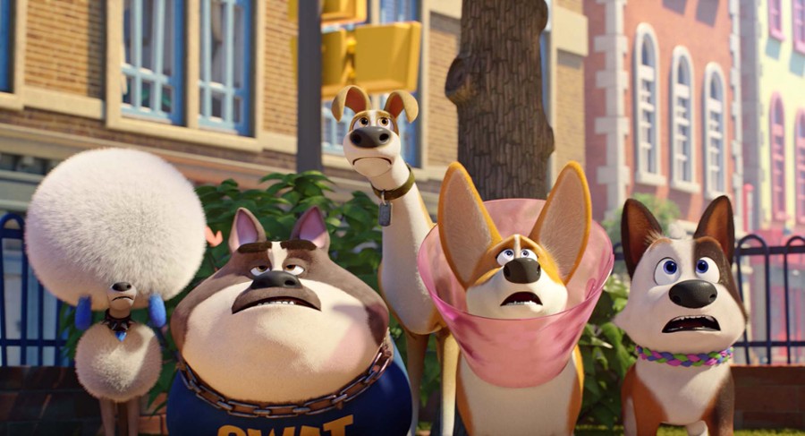 Urwis (2019) - Filmweb