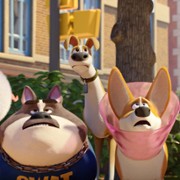 Urwis (2019) - Filmweb