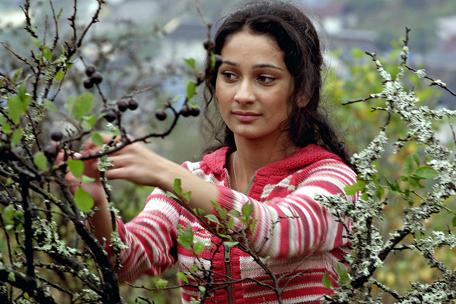 Cygan (2011) - Filmweb