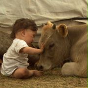 Bobasy (2010) - Filmweb