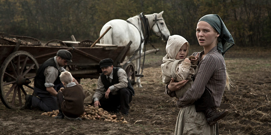 Człowiek Człowiekowi Wilkiem Recenzja Filmu Wołyń 2016 Filmweb