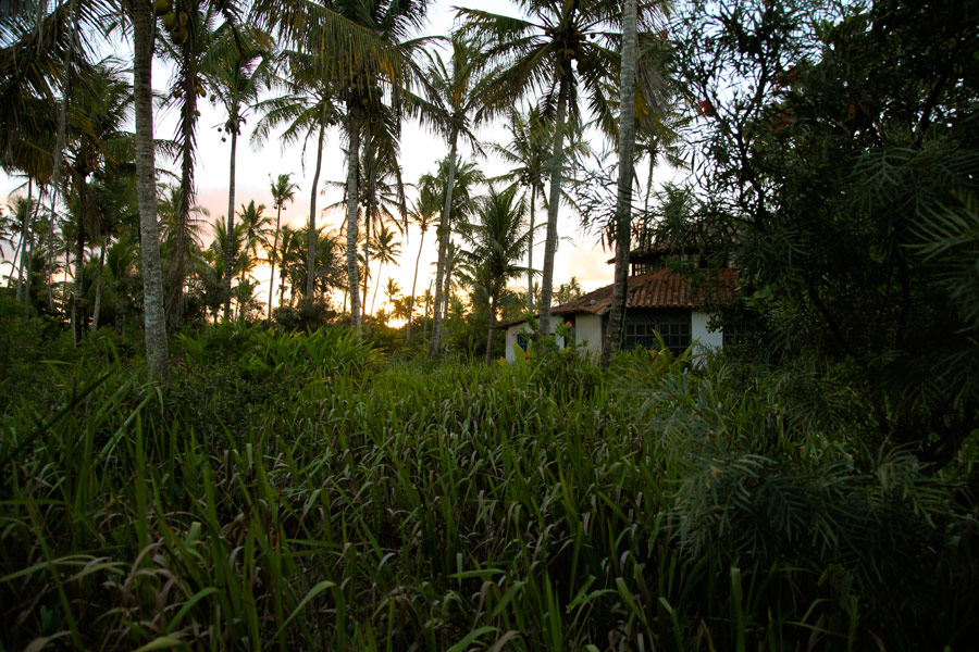 Galumphing (2012) - Filmweb