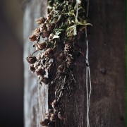 Lament (2016) - Filmweb