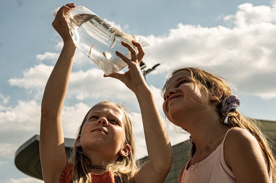 Tata (2022) - Filmweb