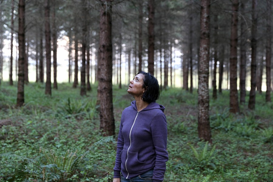 Psychol (2020) - Filmweb