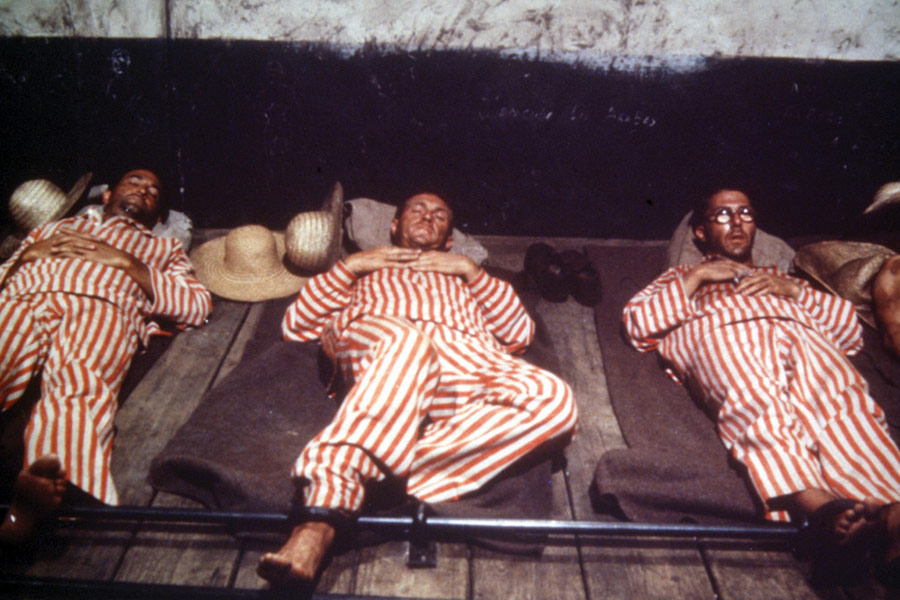 Motylek (1973) - Filmweb