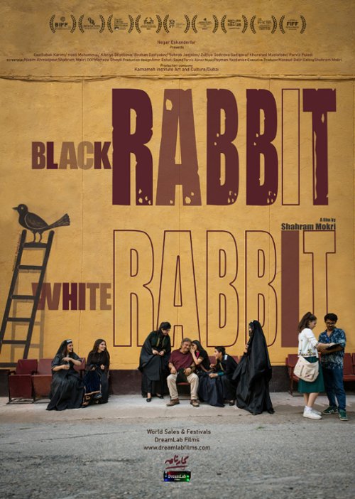Black Rabbit, White Rabbit (2025) - Filmweb