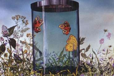 Motyl (1972) - Filmweb