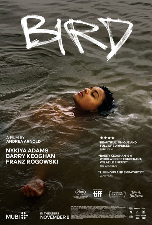 Bird (2024) - Filmweb