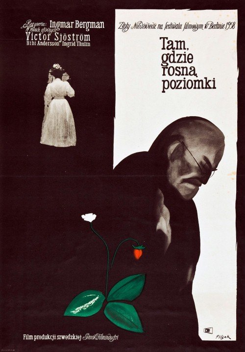Tam, gdzie rosną poziomki - Sierpc - Repertuar kin - Filmweb