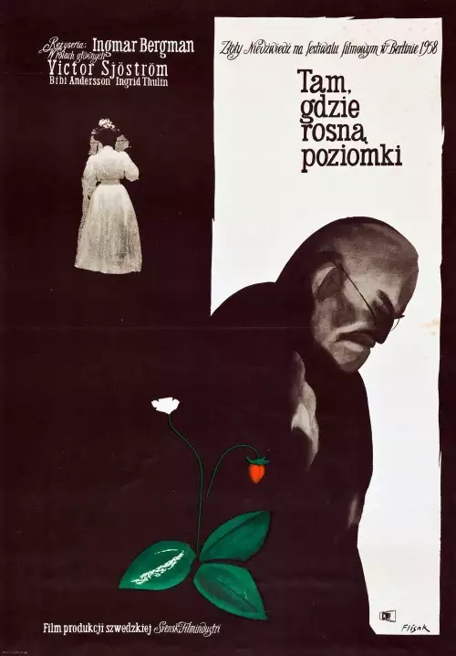 Tam, gdzie rosną poziomki - Rudnik nad Sanem - Repertuar kin - Filmweb