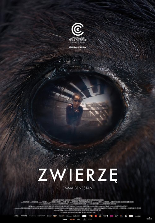 Zwierzę (2024) - Zdjęcia (Galeria) | Filmweb