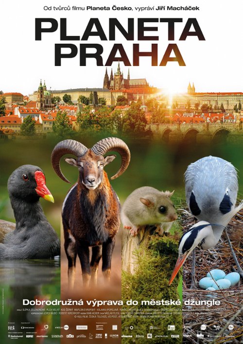 Dzika Praga (2022) w TV (kiedy i gdzie) | Program TV | Filmweb