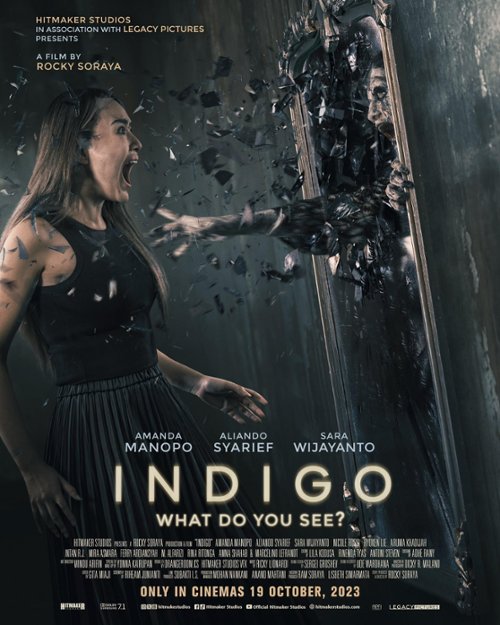 Indigo (2023) film online - Gdzie obejrzeć: Netflix | HBO | Prime | CDA ...