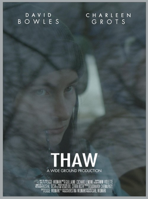 Thaw (2020) - Filmweb