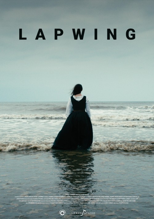 Lapwing (2021) - Filmweb
