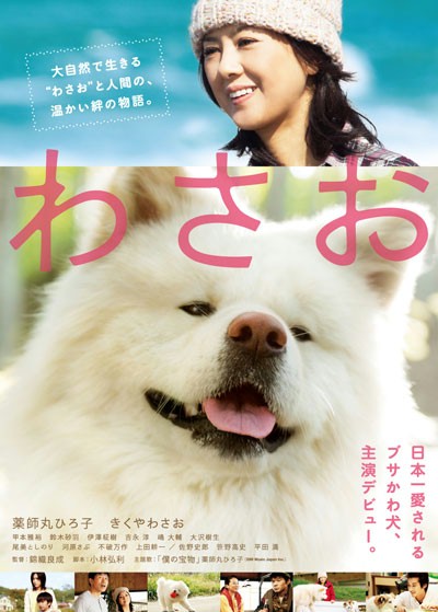 Wasao (2011) - Filmweb