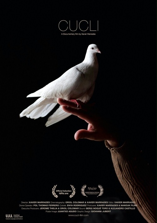 Cucli (2016) film online - Gdzie obejrzeć: Netflix | MAX | Prime ...