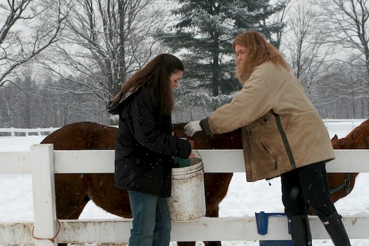 Daty premier - Longshots (2008) - Filmweb