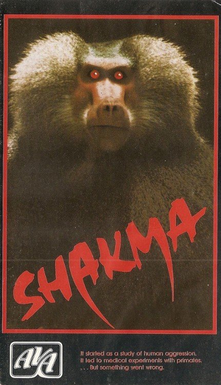 Pawiany wchodzą na ściany - Recenzja filmu Shakma (1990) - Filmweb