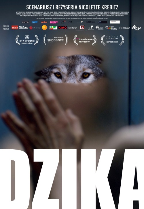 Dzika (2016) - Filmweb