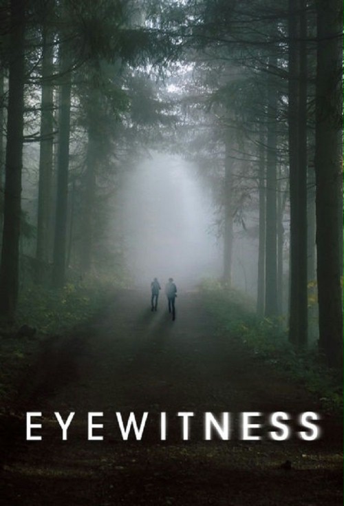 Eyewitness (Serial TV 2016-2016) - Filmweb