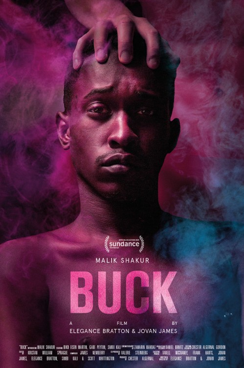 Buck (2020) - Filmweb
