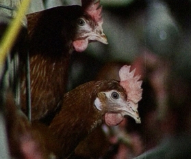 Undo (2005) film opis - Filmweb