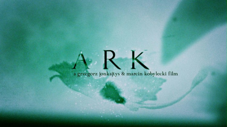 Arka (2007) - Filmweb