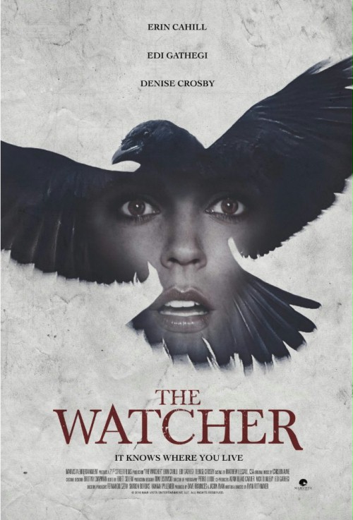 Obserwator (2016) - Filmweb