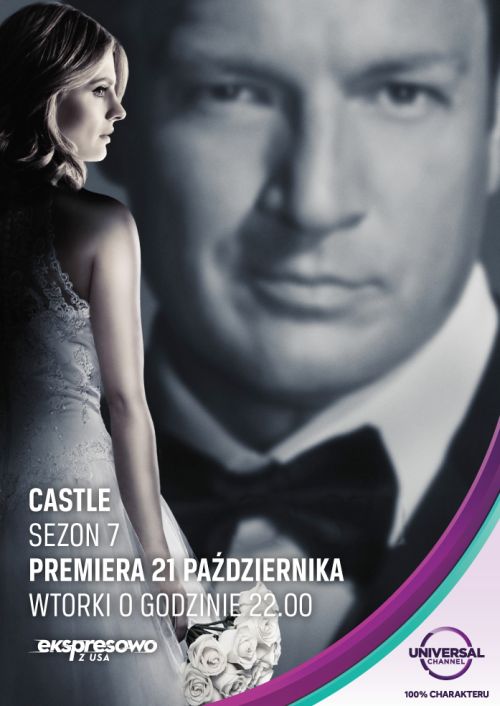 Castle (2009) serial online - Gdzie obejrzeć: Netflix | HBO | Prime ...