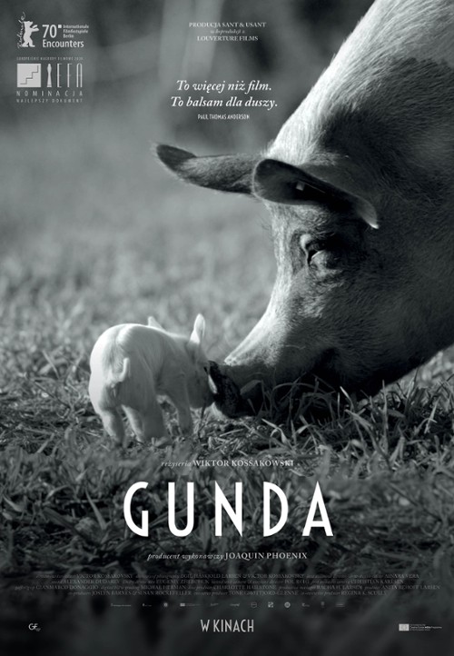 Gunda (2020) film online - Gdzie obejrzeć: Netflix | HBO | Prime | CDA ...