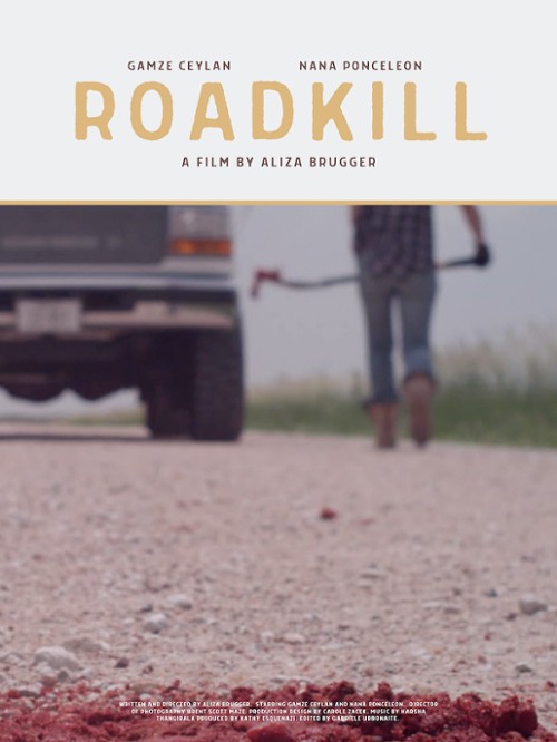 Roadkill (2020) - Filmweb