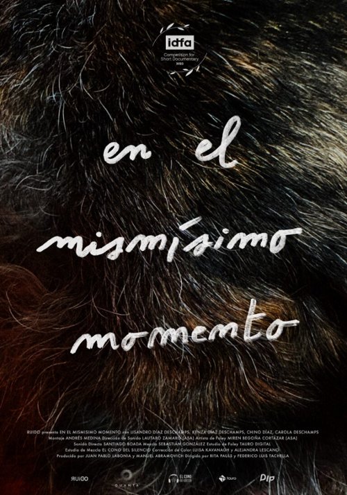 Teraz (2023) film online - Gdzie obejrzeć: Netflix | HBO | Prime | CDA ...